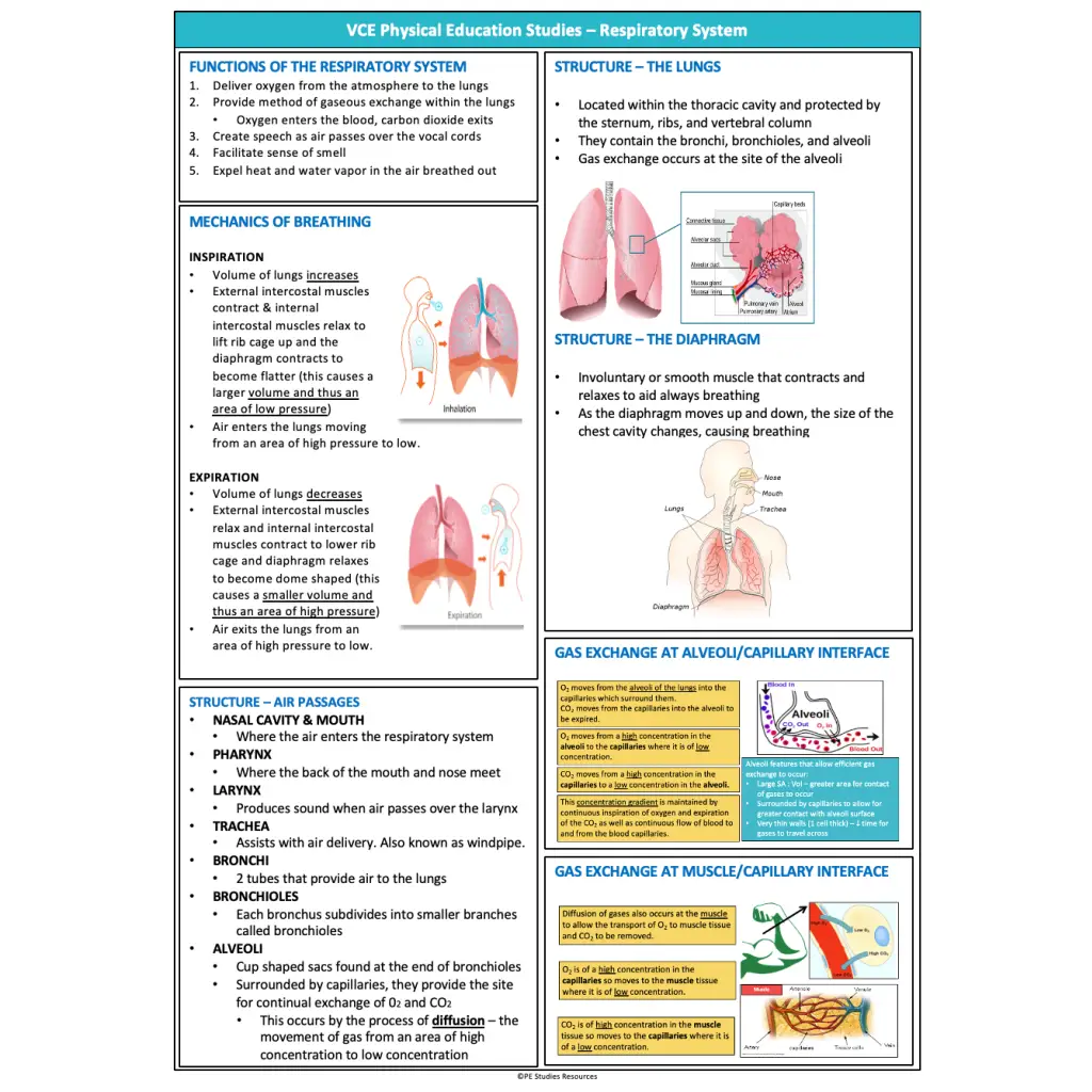 ATAR Unit 1 & 2 Study Guides for VCE PE Studies – PE Studies Resources