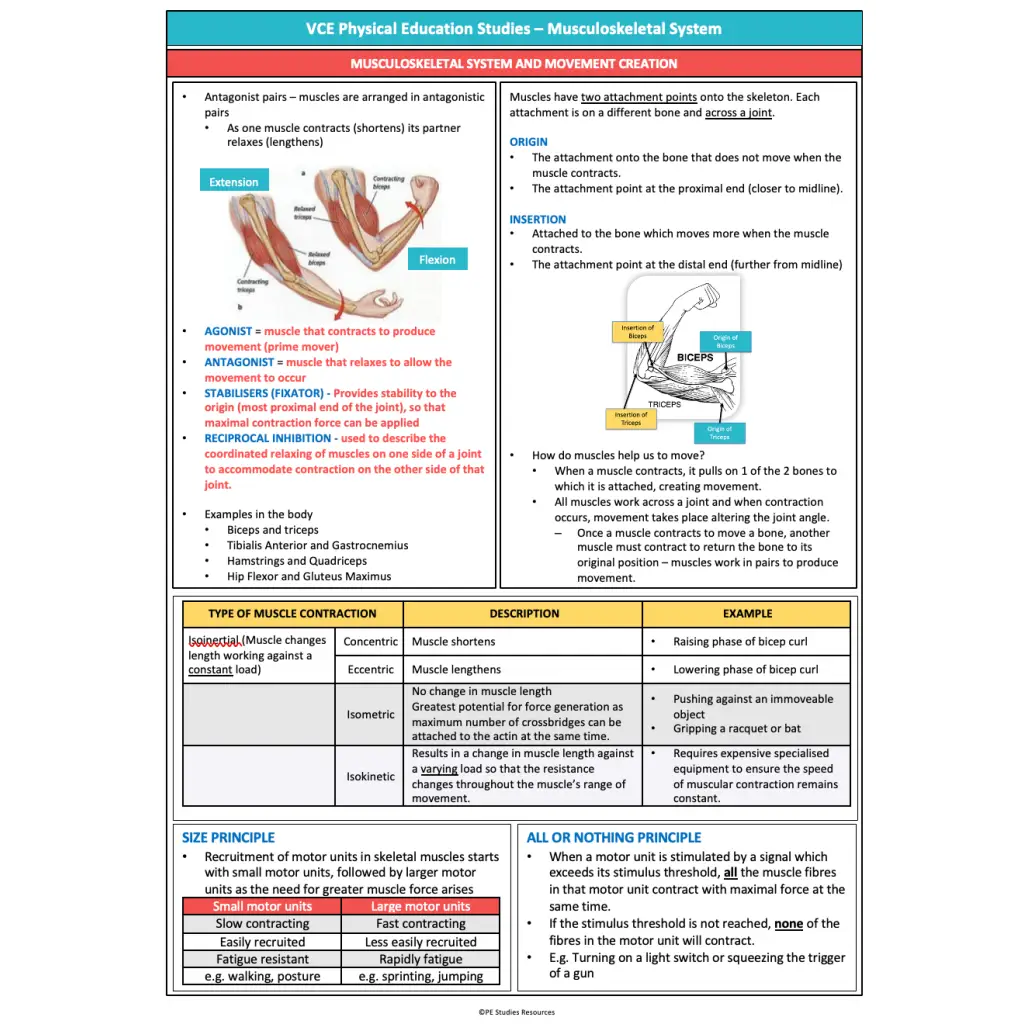 ATAR Unit 1 & 2 Study Guides for VCE PE Studies – PE Studies Resources