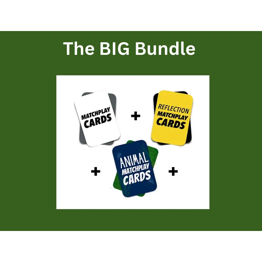 MatchPlay Cards: The BIG Bundle - Capture Learning Moments – PE Studies ...