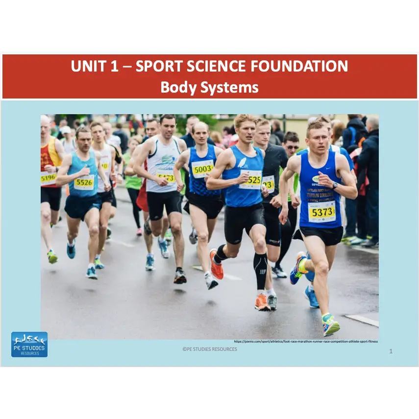 Sport Science Foundation: Body Systems - Unit 1 – PE Studies Resources