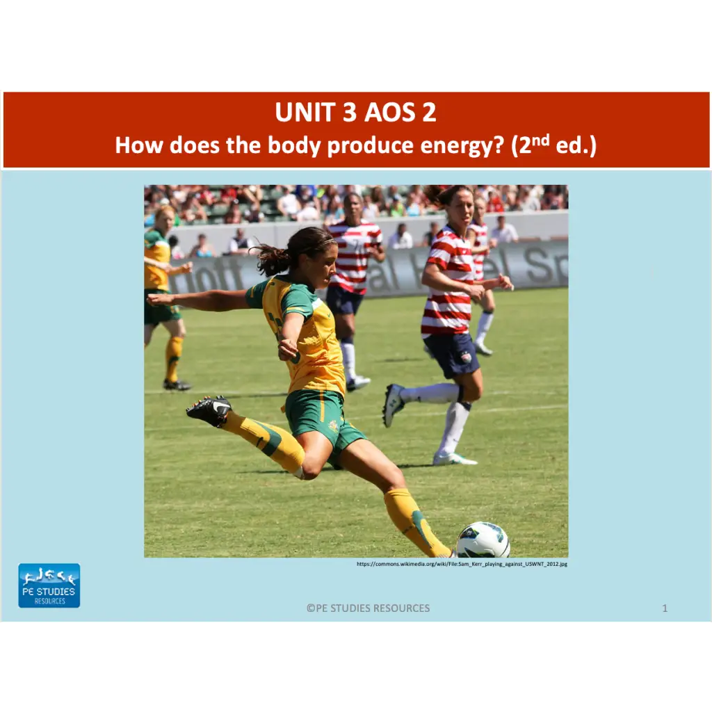 UNIT 3 AOS 2 PE Studies: How the Body Produces Energy PPT – PE Studies ...