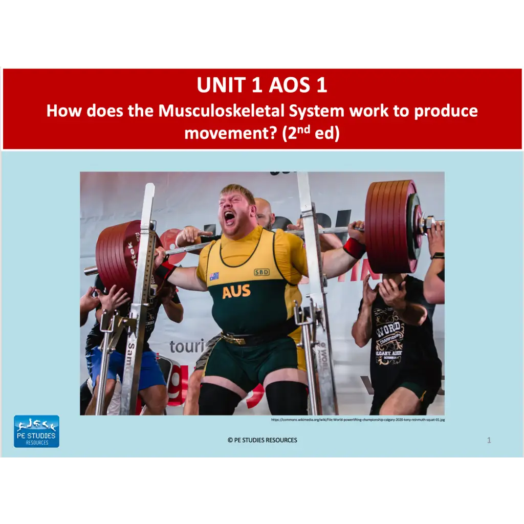 Musculoskeletal System PowerPoint | VCE PE Unit 1 – PE Studies Resources