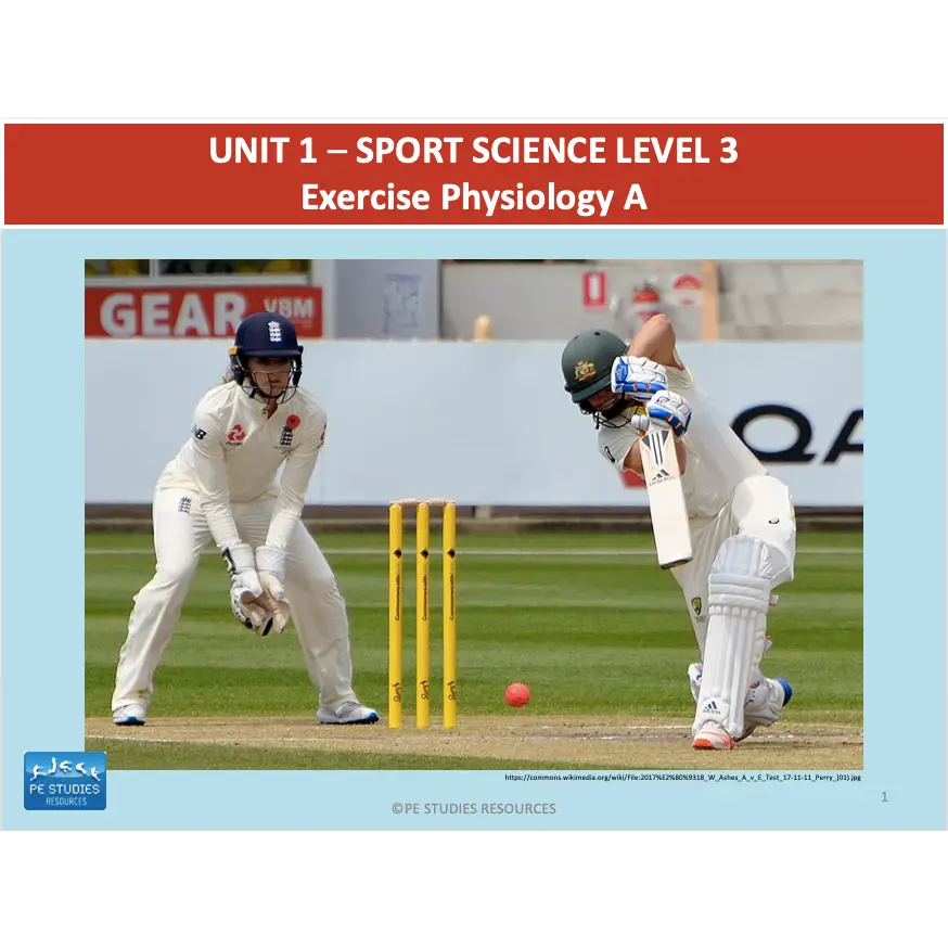 Exercise Physiology A: Unit 1 Sport Science Level 3 – PE Studies Resources