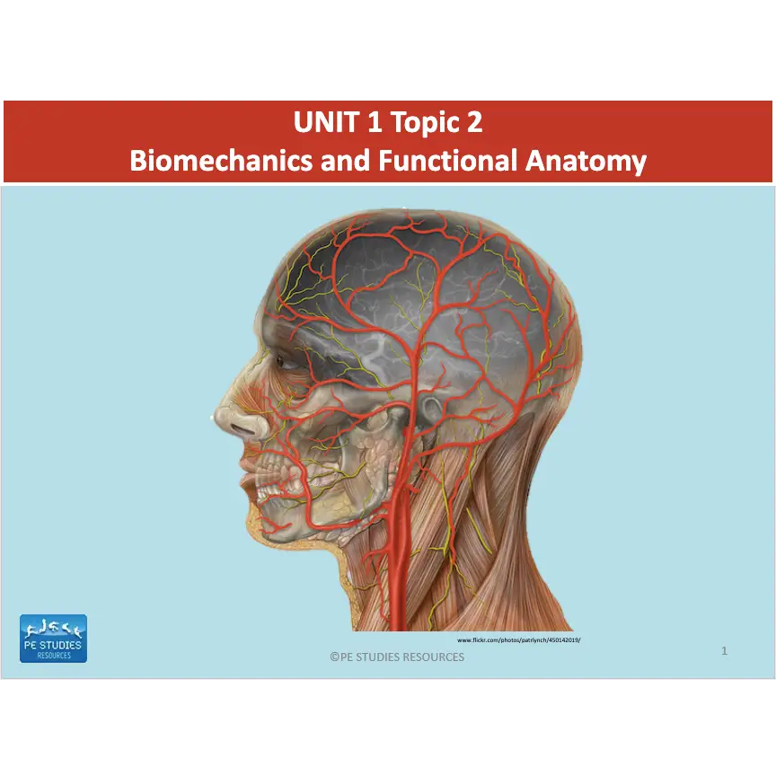UNIT 1 Topic 2: Biomechanics & Functional Anatomy – PE Studies Resources